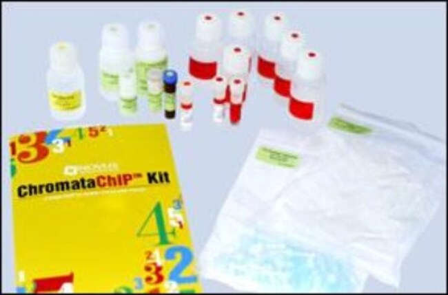 Novus Biologicals™ Chromata ChIP Histone H3 [Dimethyl Lys9] Kit (ChIP ...